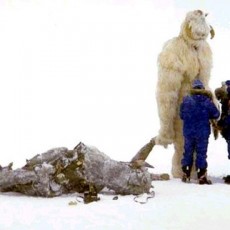 Wampa Ice Creatures – T-bone’s Star Wars Universe